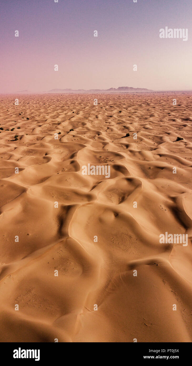 Dubai half desert road Stock Photo - Alamy