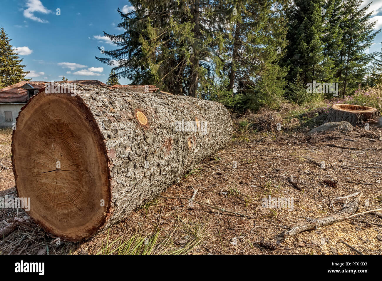 Jerkily hi-res stock photography and images - Alamy
