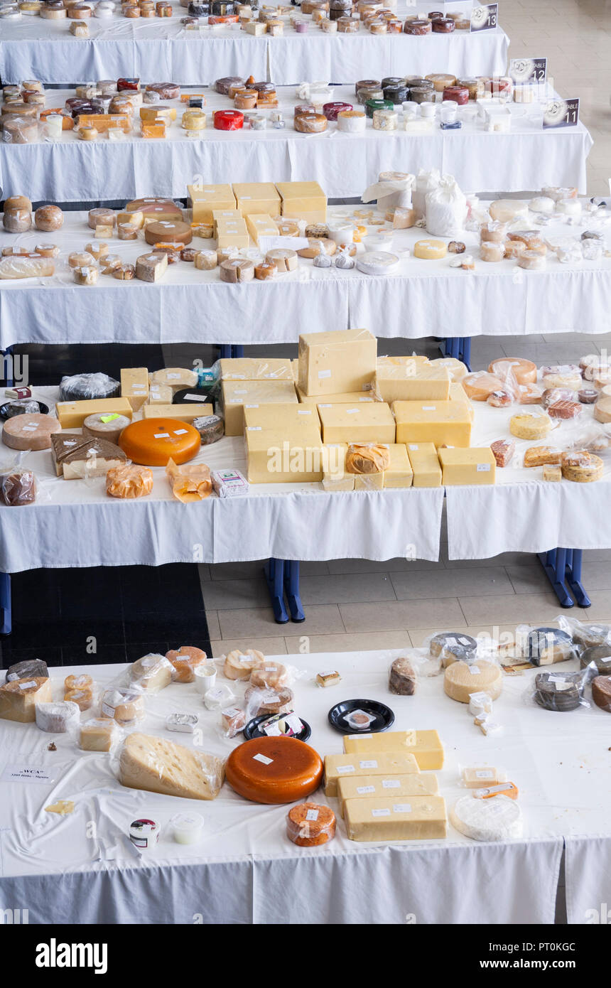 Cheese/cheeses on display at the World cheese awards Stock Photo - Alamy