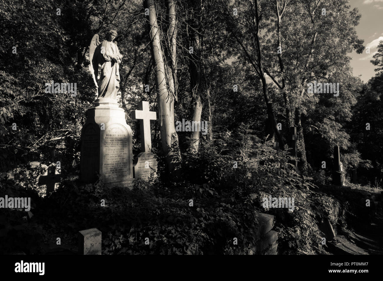 Stone angel in Highgate Cemetery, London Stock Photo - Alamy
