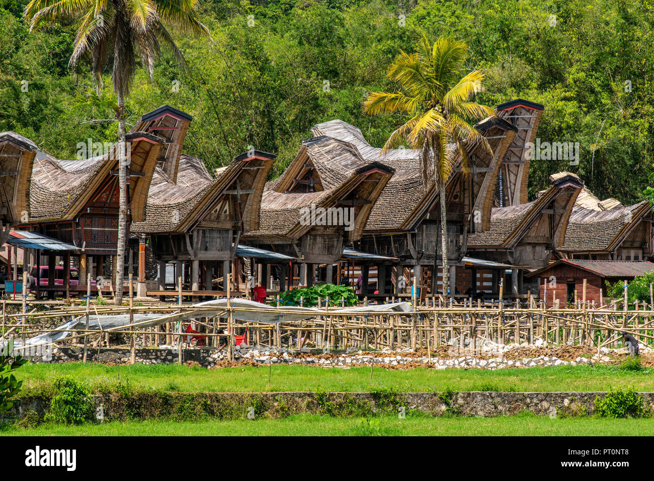 Traditional Toraja village, Rantepao, Tana Toraja, Sulawesi, Indonesia ...