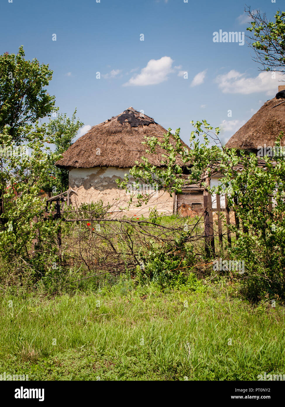 Farmhouse with thatched roof hi-res stock photography and images - Alamy