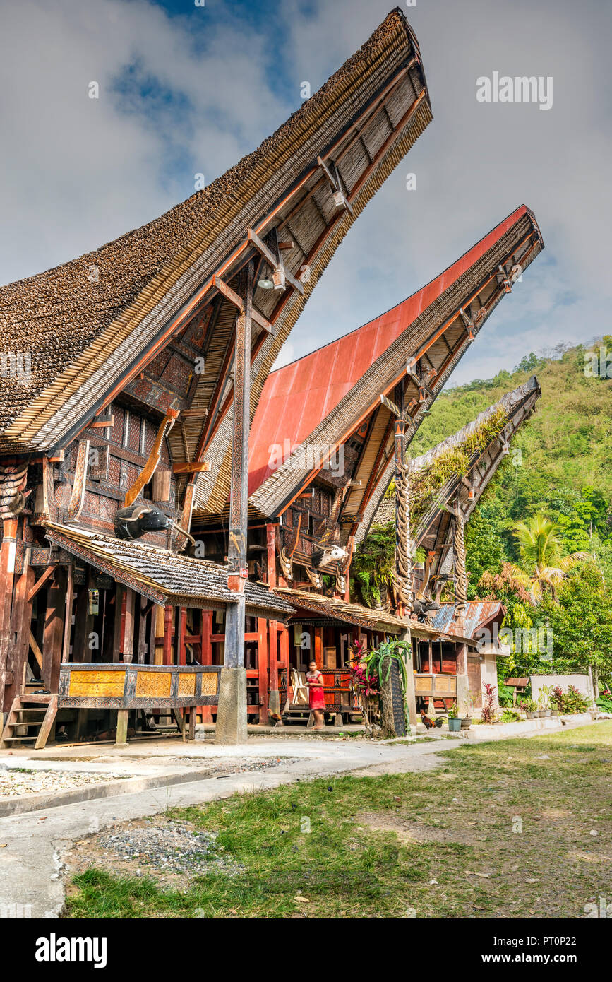 Traditional Toraja village, Rantepao, Tana Toraja, Sulawesi, Indonesia ...