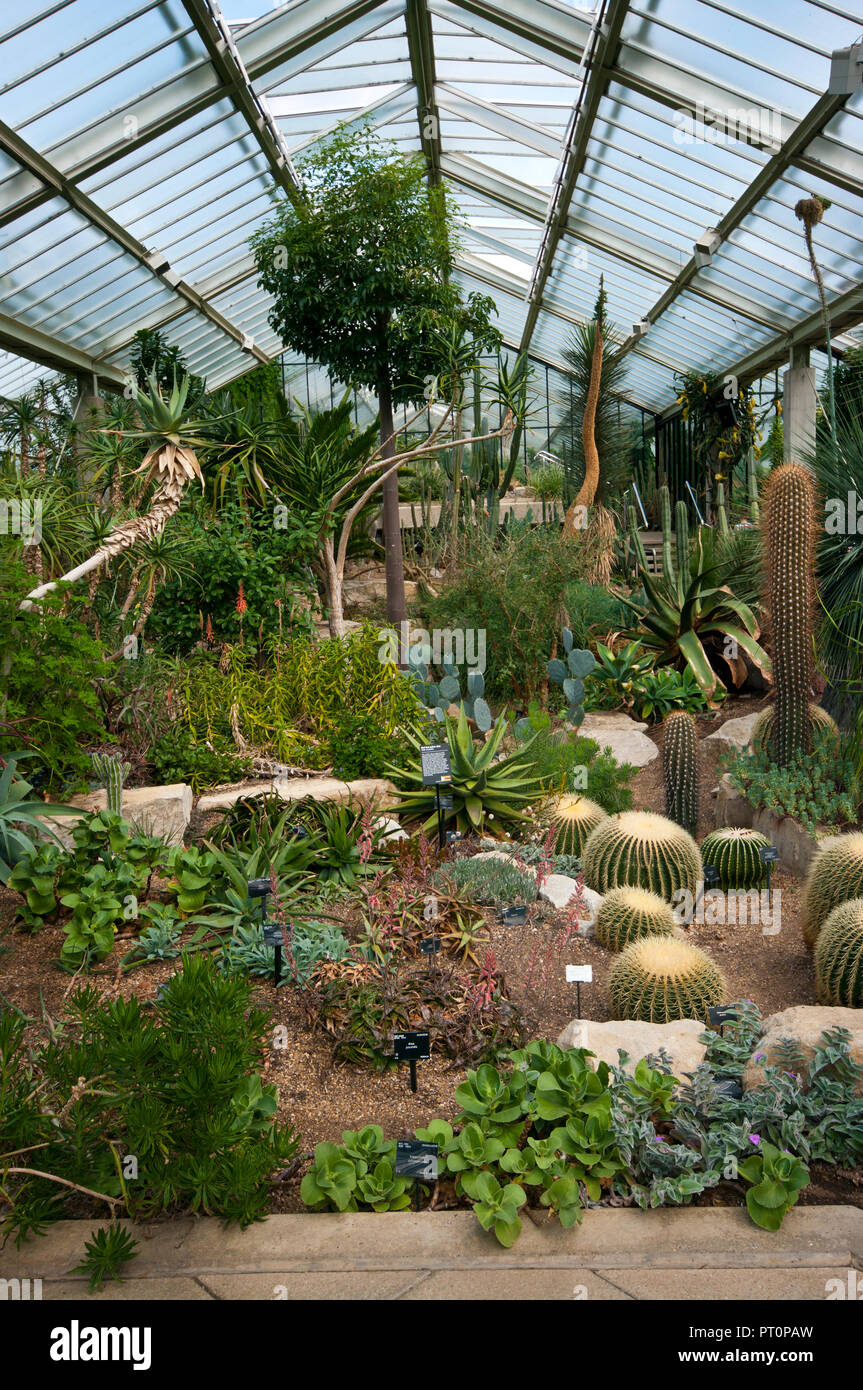 Inside The Princess Of Wales Conservatory in The Royal Botanic Gardens ...