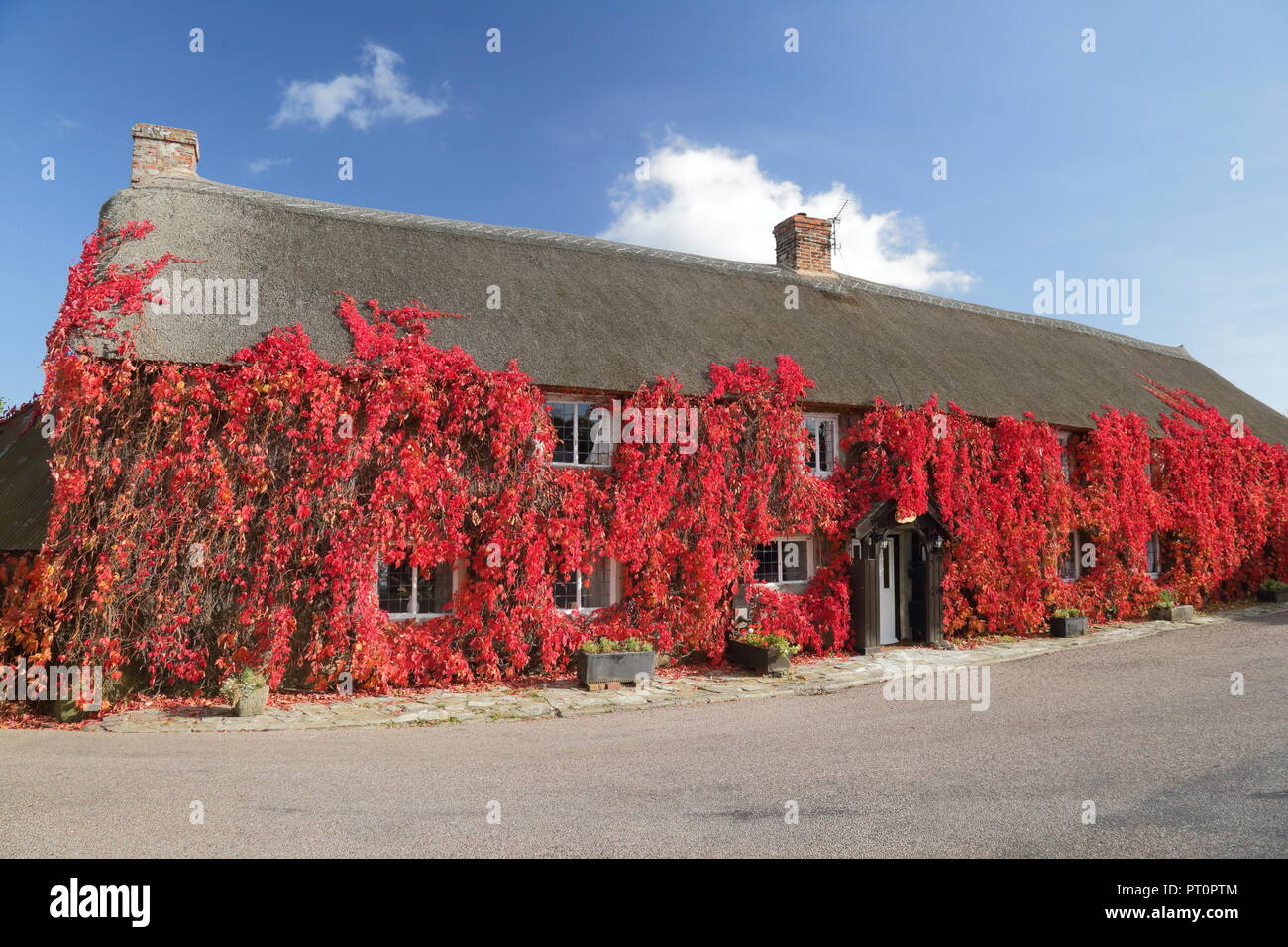 Ivy cottage hi-res stock photography and images - Alamy