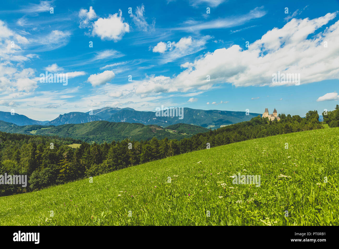 Austria, Lower Austria, Neunkirchen District, Burg Wartenstein Stock ...