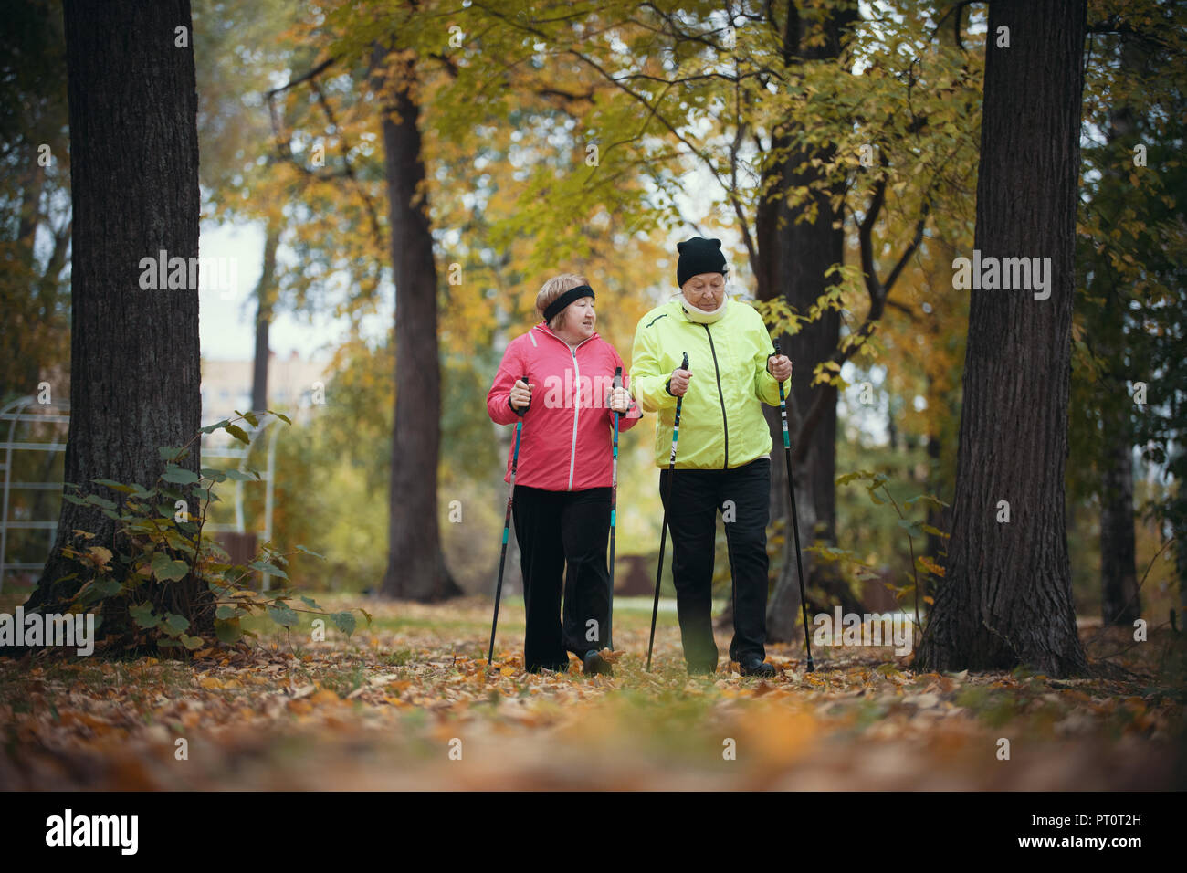 Old women walking in an autumn park during a scandinavian walk. Fall ...