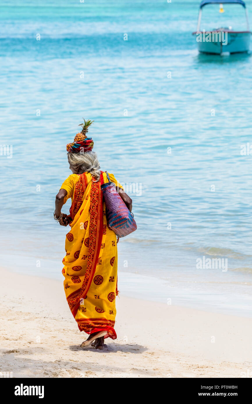 Mauritius, Trau-aux-Biches, local woman wearing sari and with ananas on ...