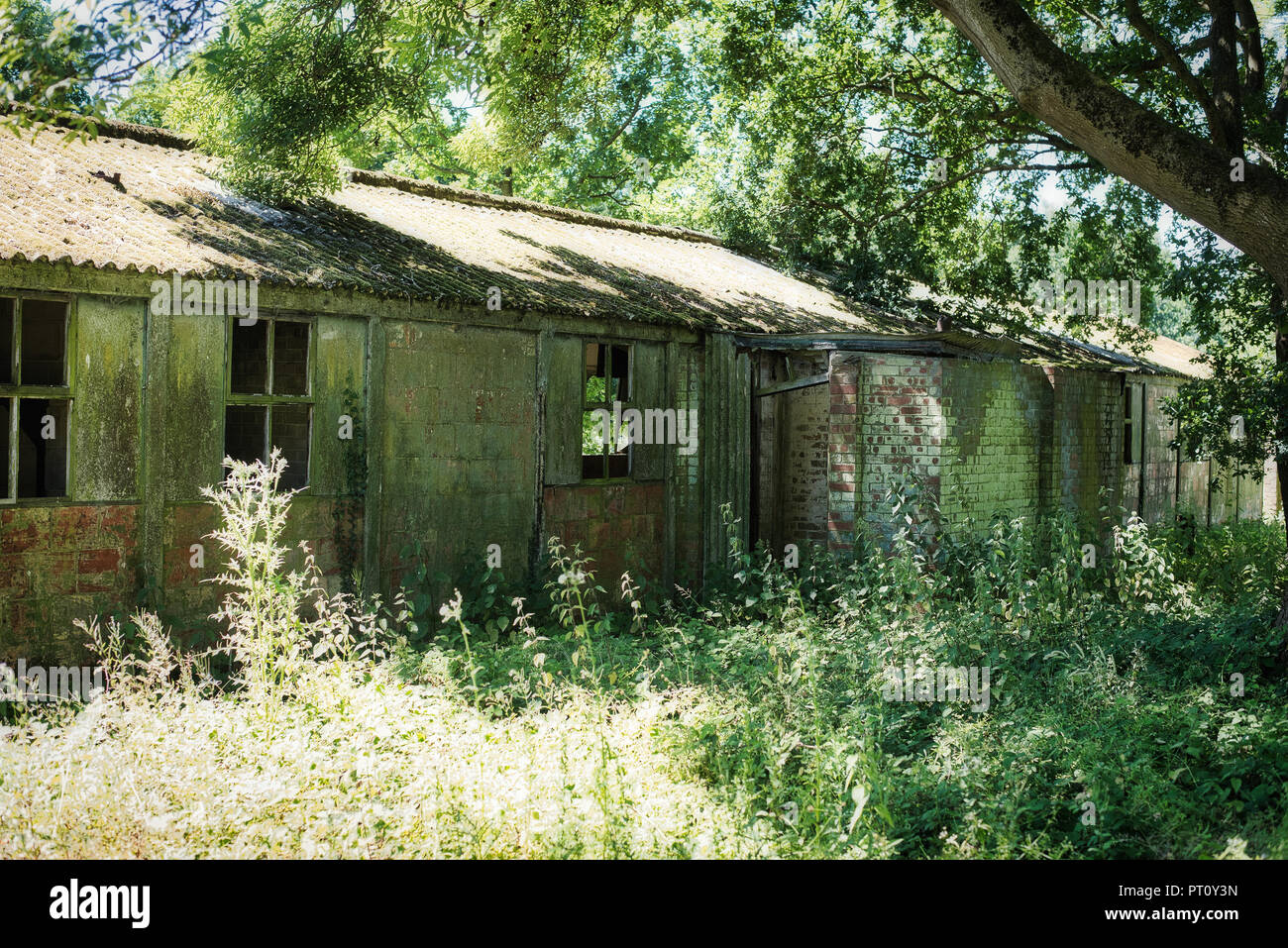 British pow wwii hi-res stock photography and images - Alamy