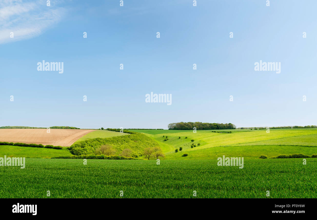 Spring yorkshire wolds hi-res stock photography and images - Alamy