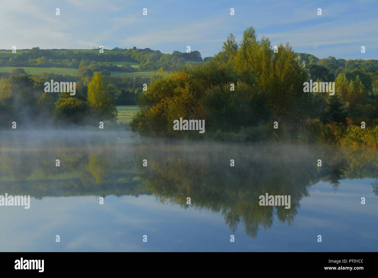 Misty morning over the lake in nature reserve in Devon Stock Photo - Alamy