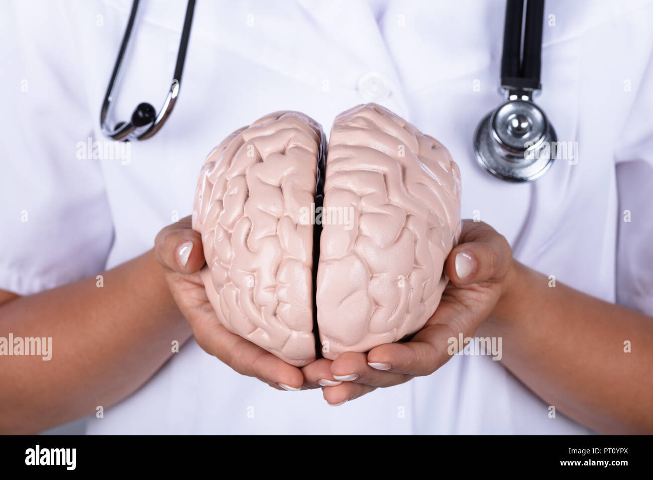 Fake brain hi-res stock photography and images - Alamy
