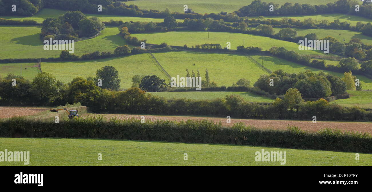 Devon landscape farm hi-res stock photography and images - Alamy