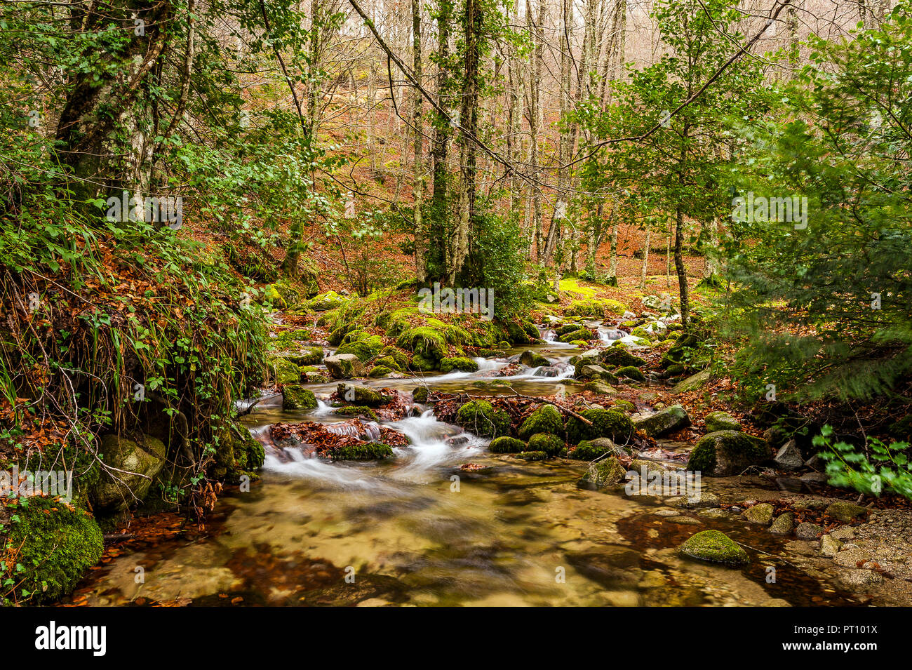 Fiume stilaro hi-res stock photography and images - Alamy