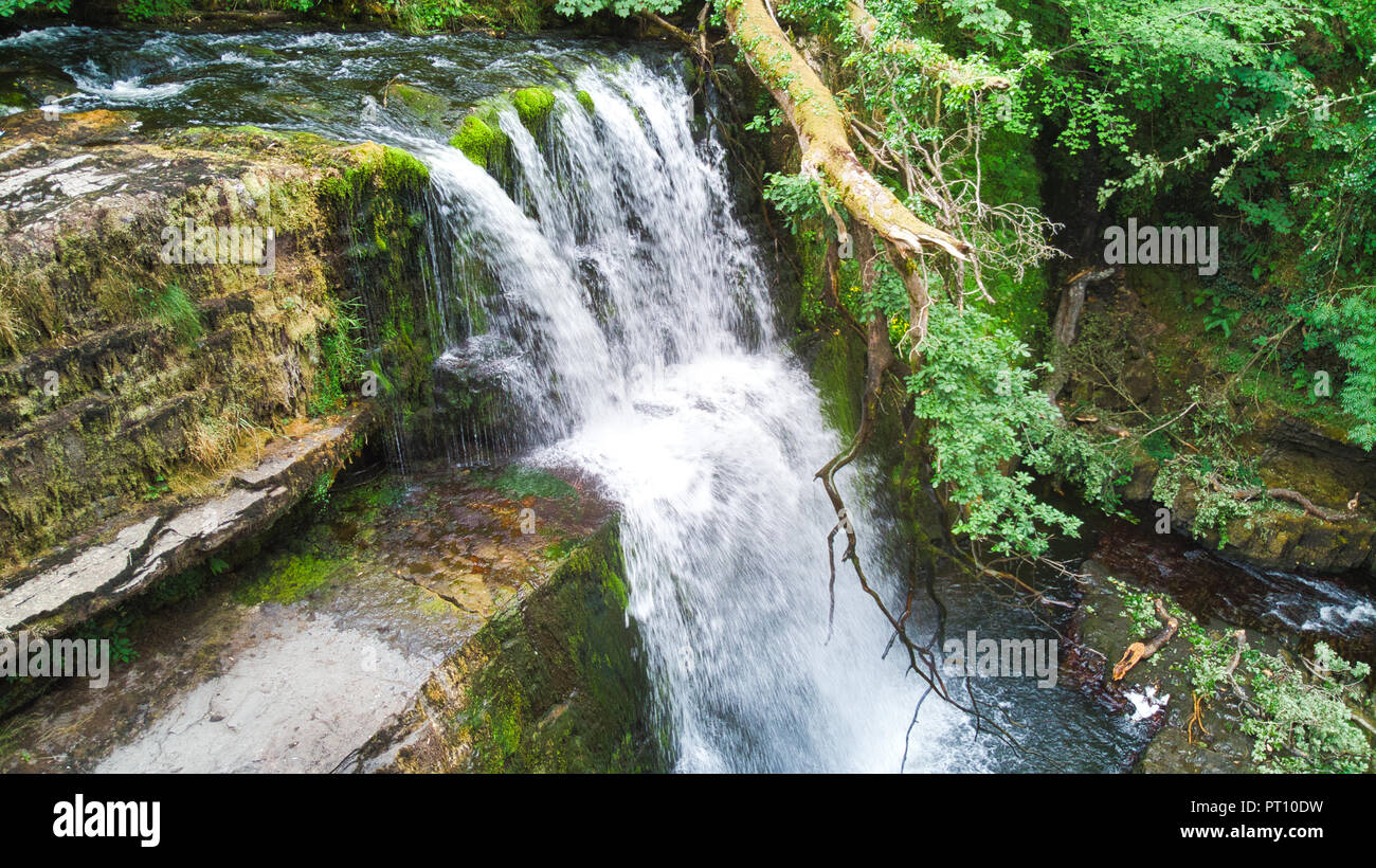 Clun forest hi-res stock photography and images - Alamy