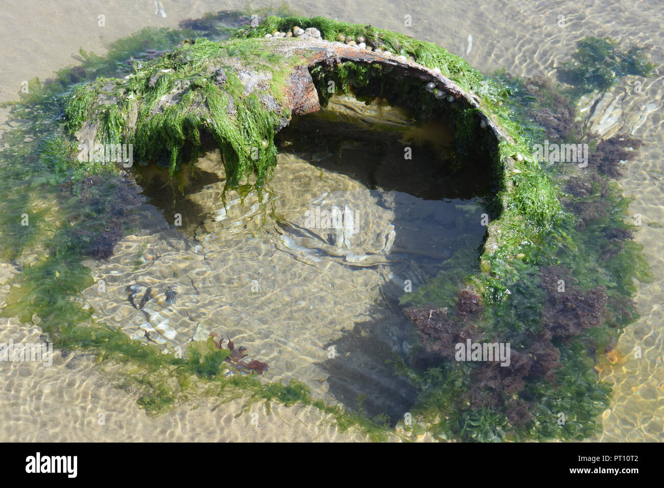 Beauty In the Ruins Stock Photo - Alamy