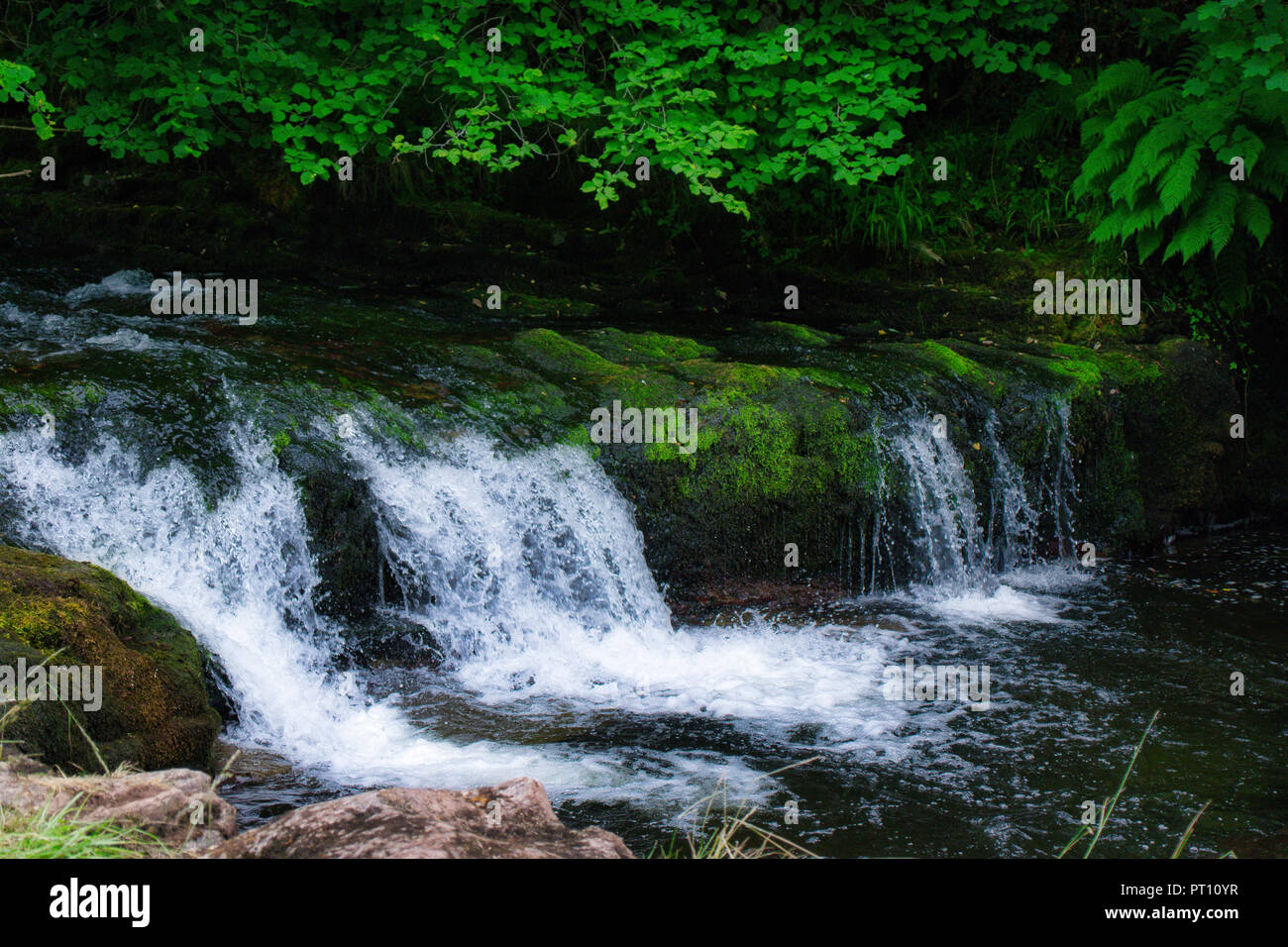 Forest river waterfall water day nature nature reserve hi-res stock ...
