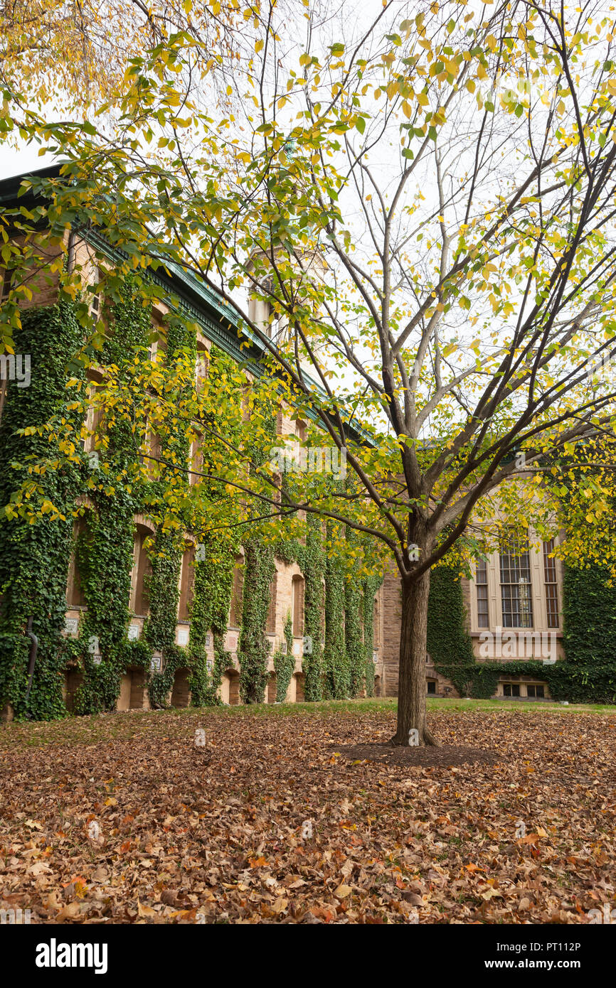 Nassau hall old nassau princeton university hi-res stock photography ...