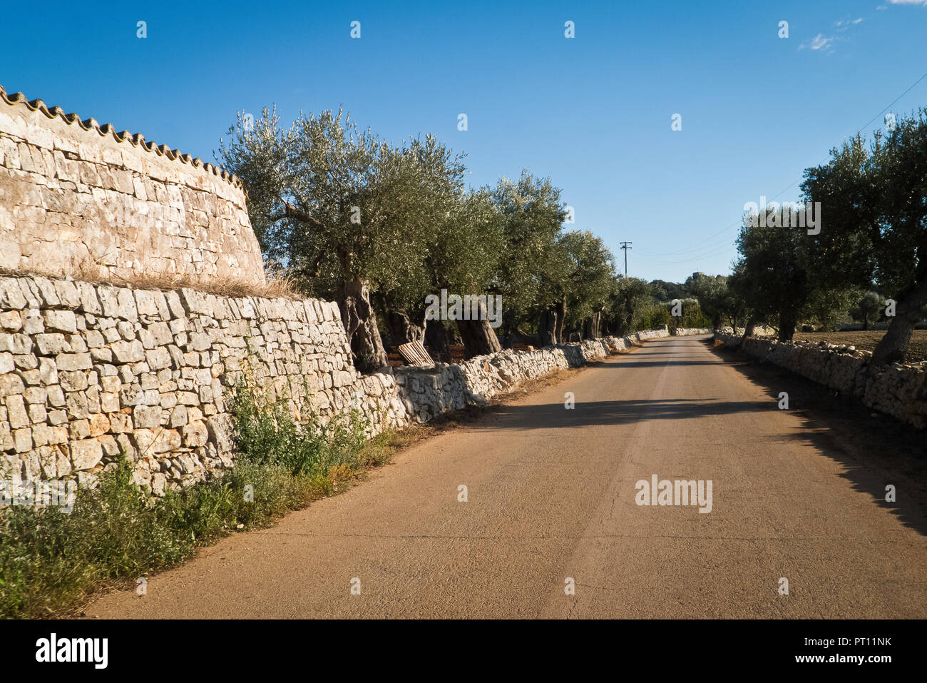 Puglia country hi-res stock photography and images - Alamy