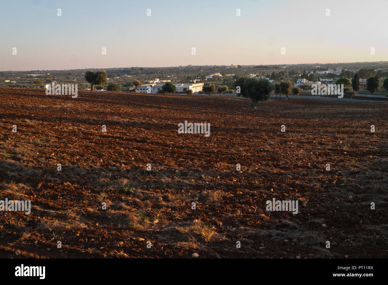 farmlands on the hills in sunset of autumn Apulia Stock Photo - Alamy