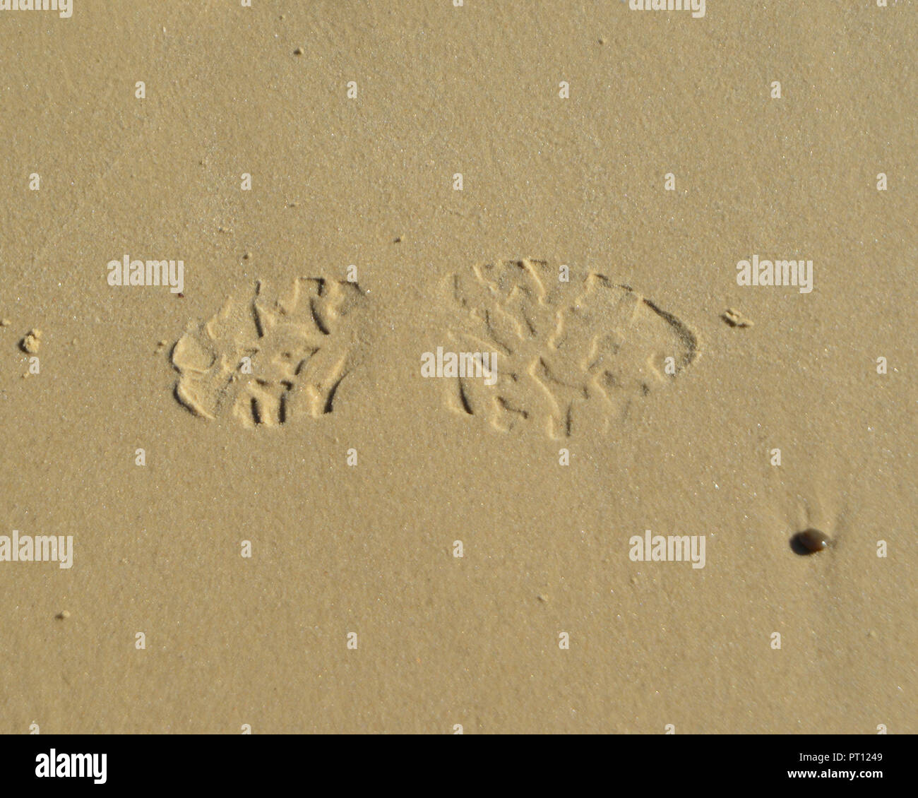 Foot prints in the sand, footprint, beach, sand, shoe print Stock Photo ...