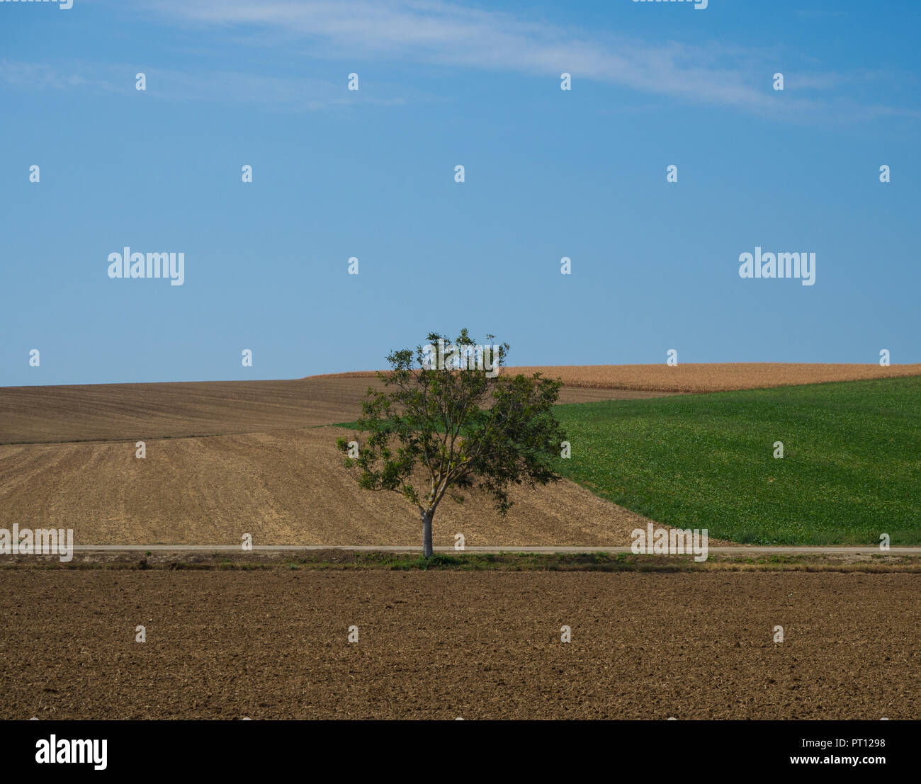Blue sky rural scene hi-res stock photography and images - Alamy