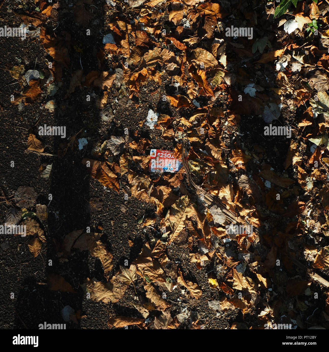 Illegally dumped hazardous waste hi-res stock photography and images ...