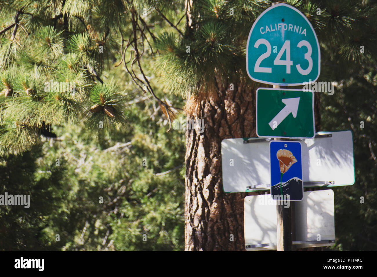 State highway 243 hi-res stock photography and images - Alamy