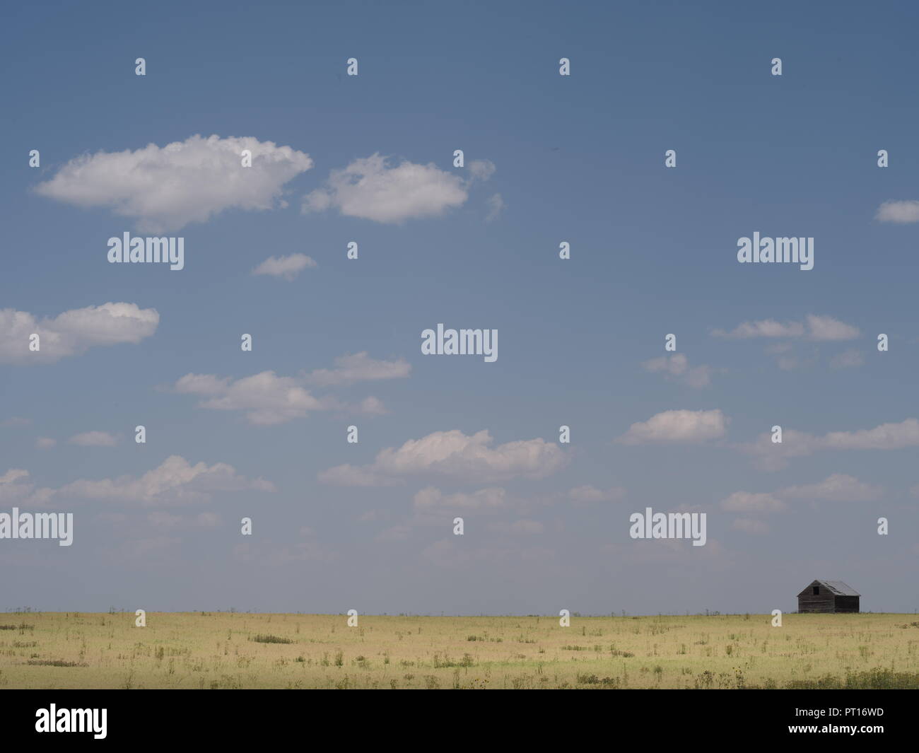 Abandoned building, white clouds & blue sky, wheat field, Saskatchewan ...