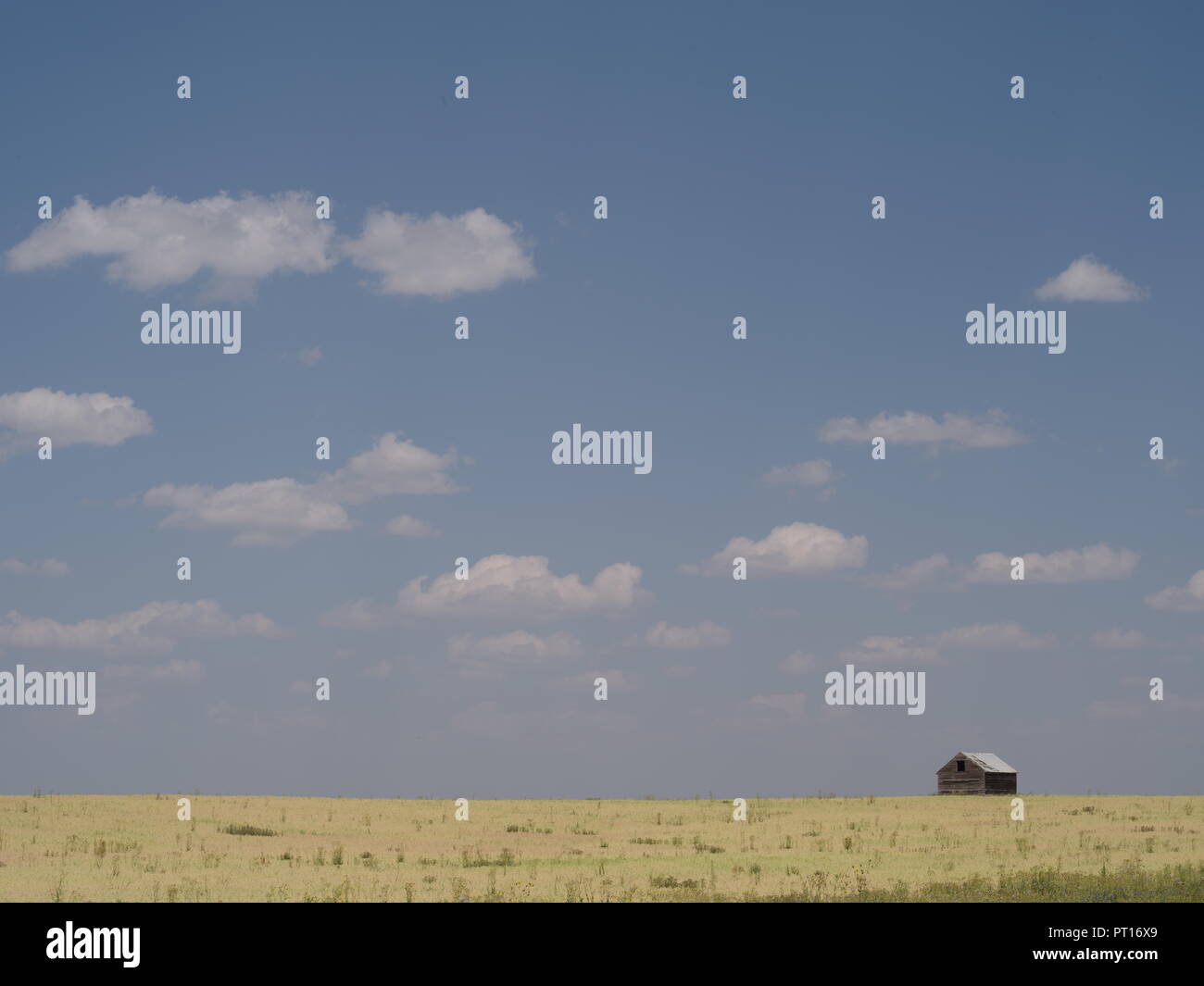 Saskatchewan wheat field hi-res stock photography and images - Alamy