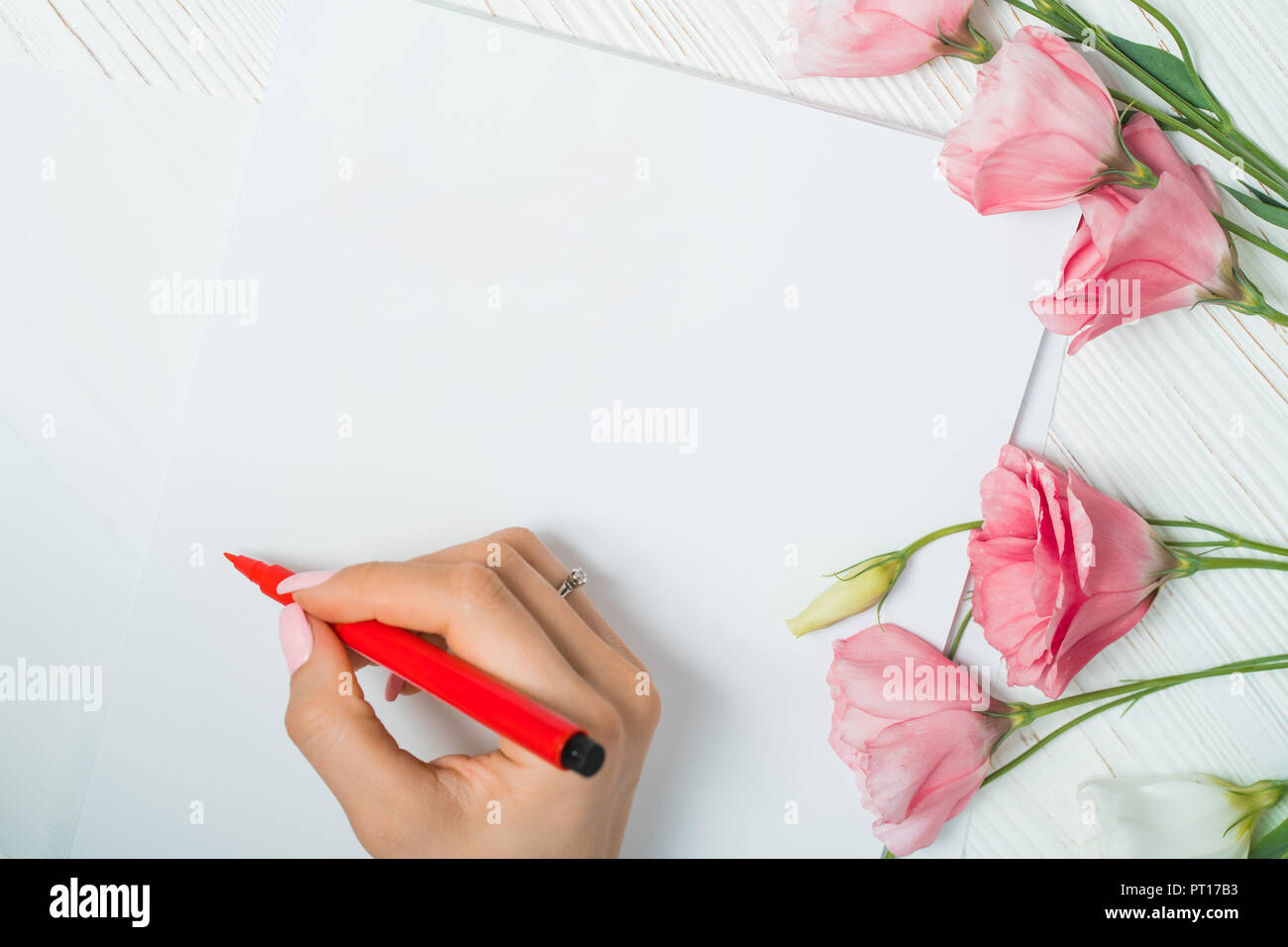 Calligrapher student practices in writing lettering with red marker on ...