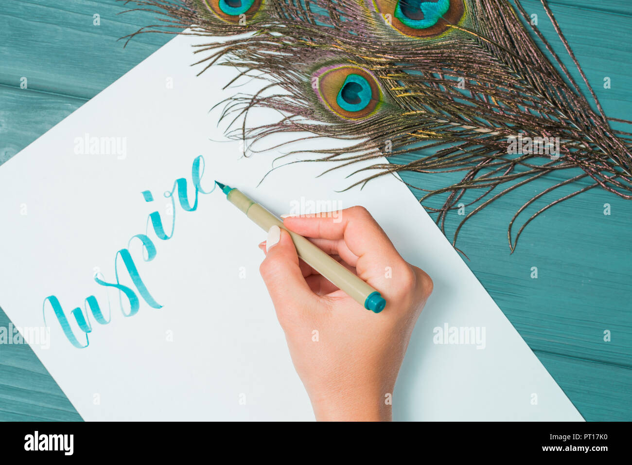Calligrapher student practices in writing word inspire with green ...