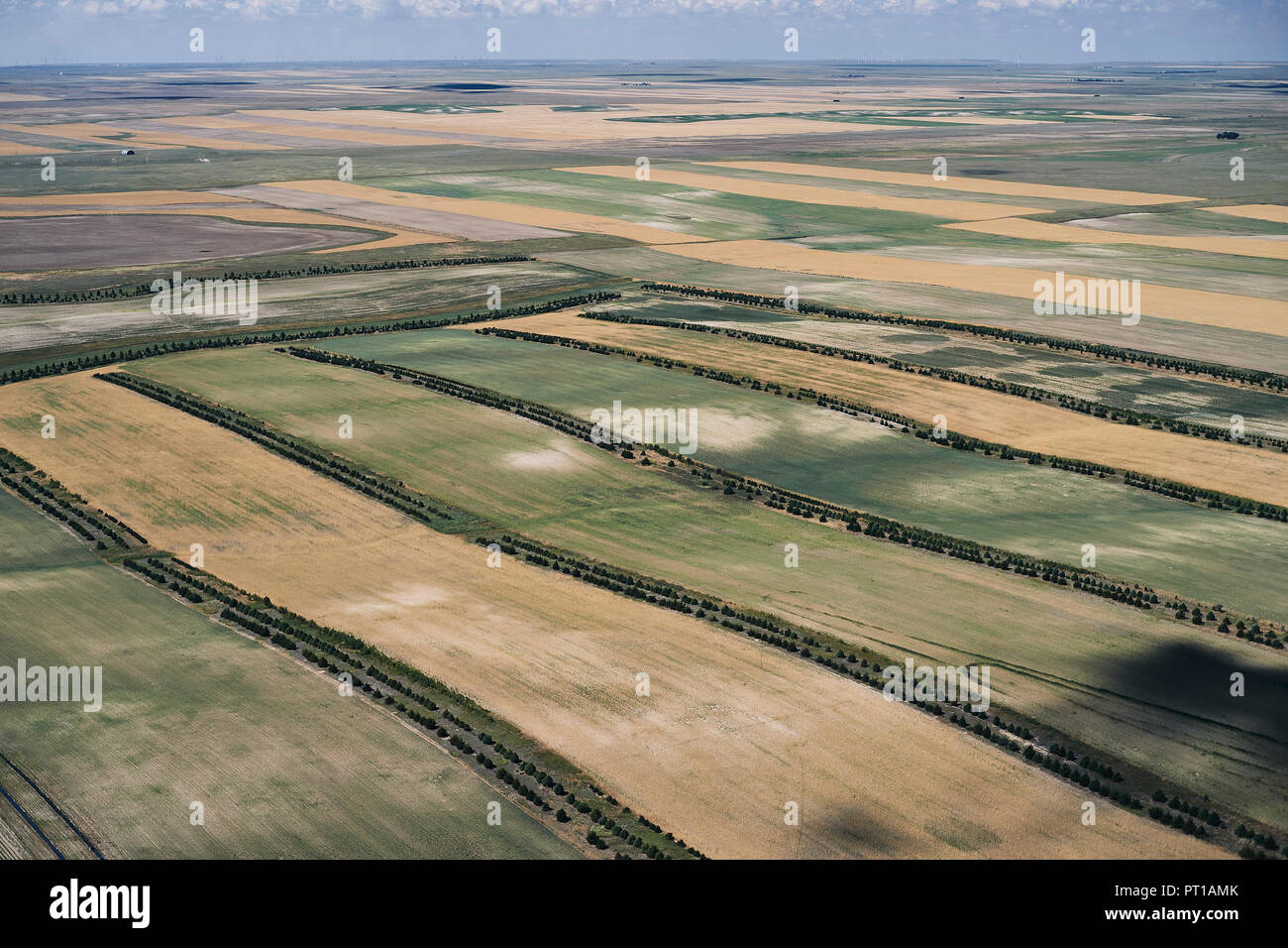 USA, Farm fields with tree beauty strips in Western Nebraska Stock ...
