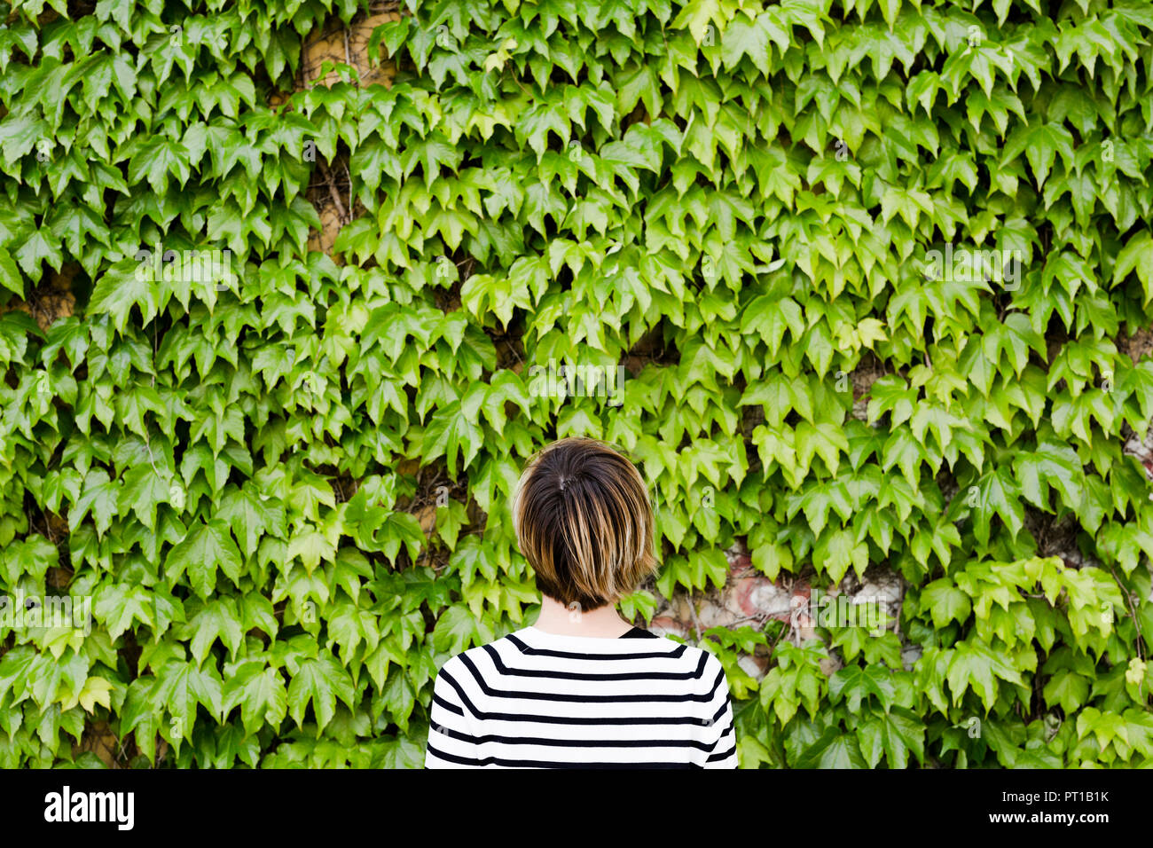 Back view of woman in front of facade greenery Stock Photo - Alamy