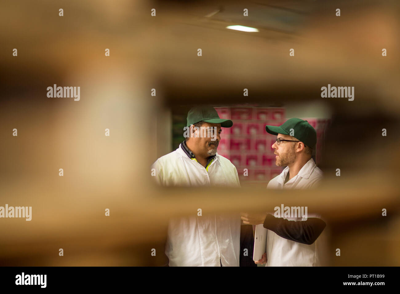 Co workers hi-res stock photography and images - Alamy