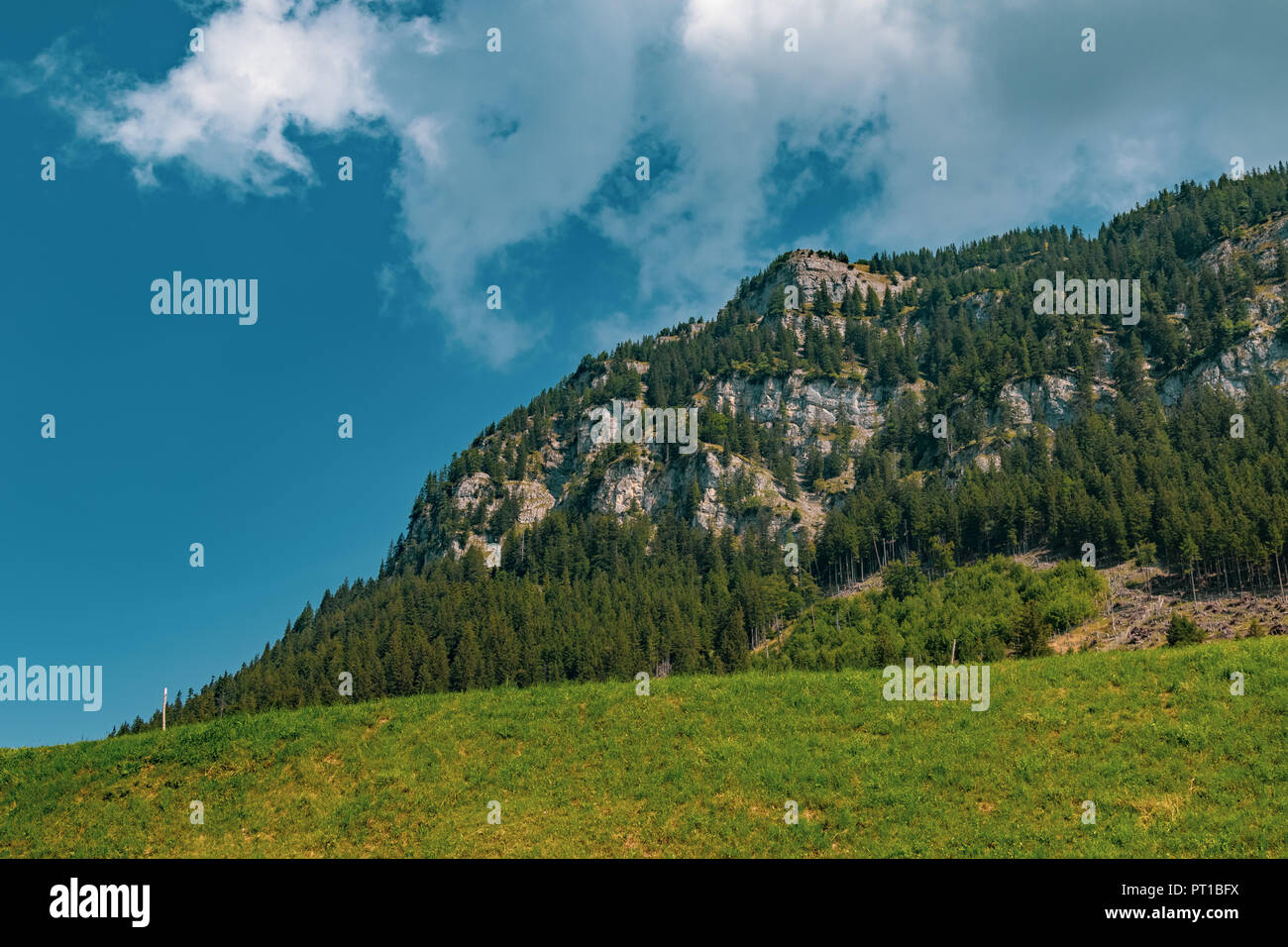 View of the landscape in the Alpine Principality of Liechtenstein Stock ...