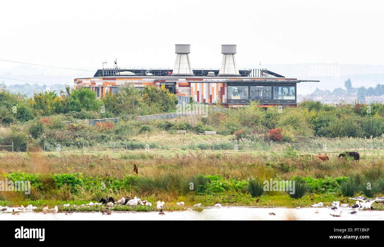 Rainham Marshes RSPB nature reserve visitor centre Essex UK RSPB rain ...