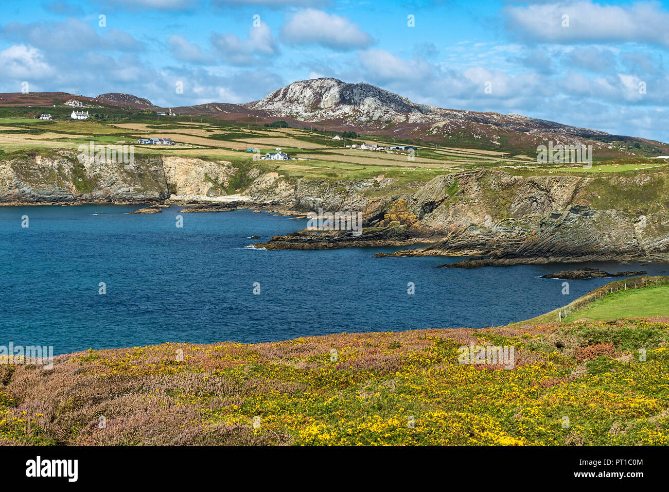 Holyhead Mountain (Mynydd Twr) viewed from the south showing cultivted ...