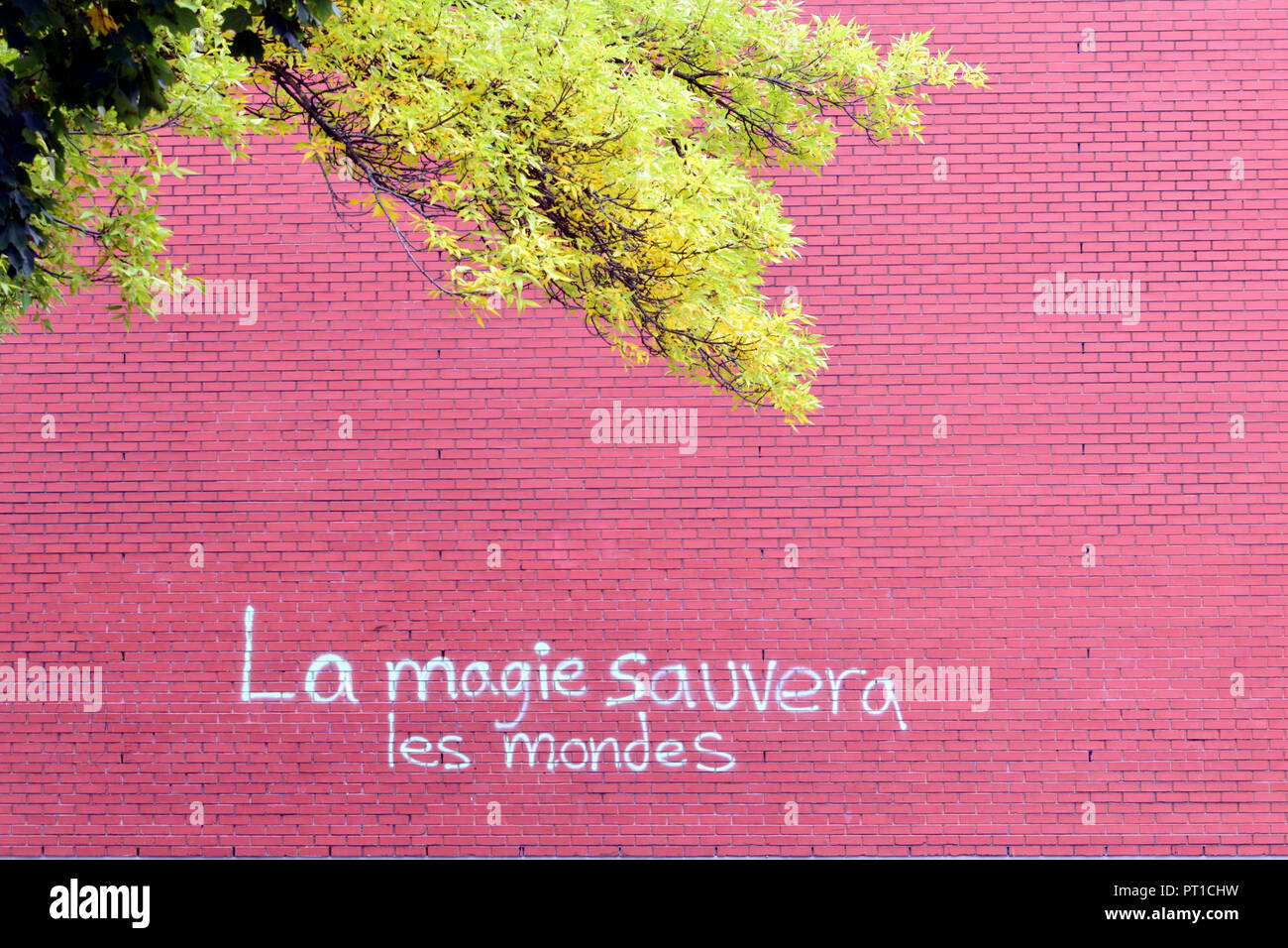 La magie sauvera les mondes - Magic will save the worlds Stock Photo ...