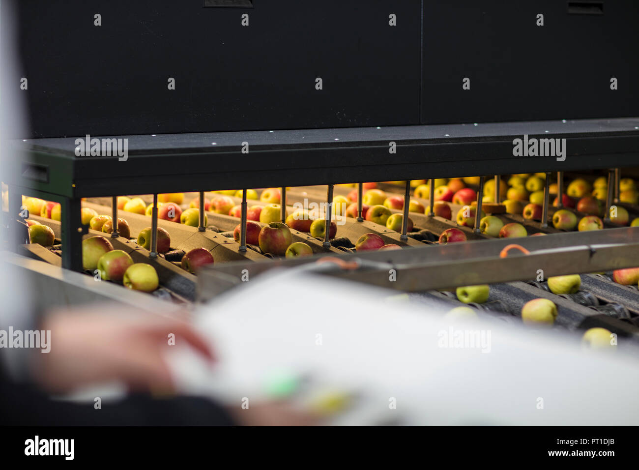 Human fruit machine hi-res stock photography and images - Alamy