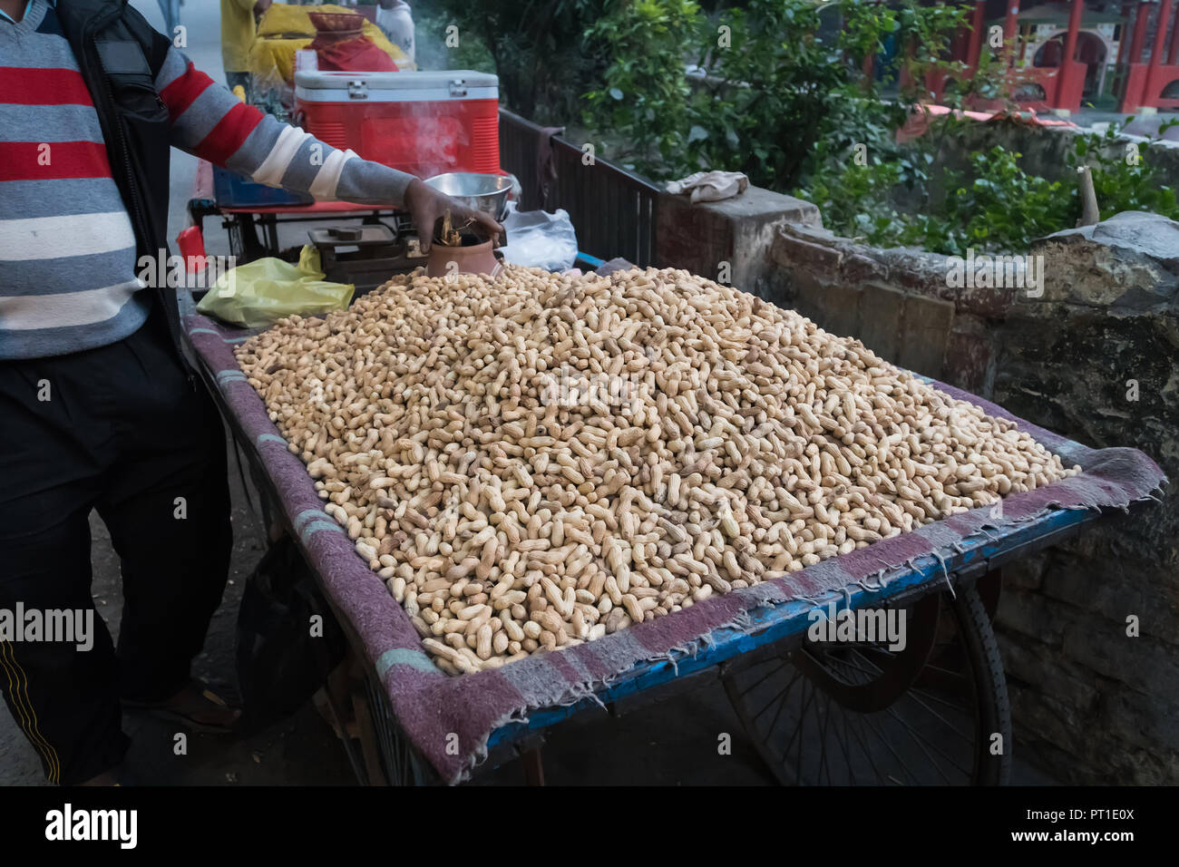 Wheelbarrow and nuts hi-res stock photography and images - Alamy
