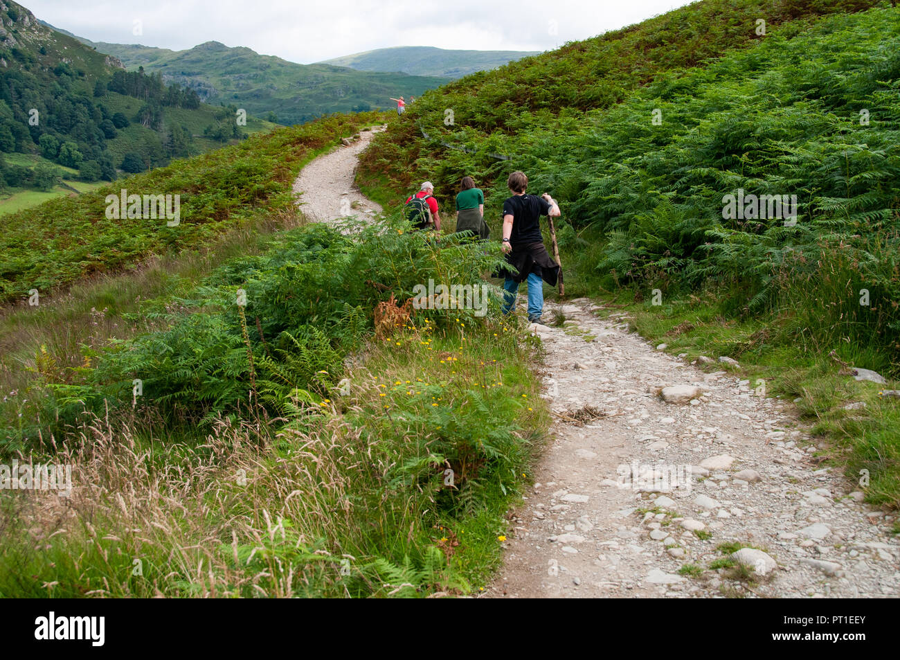 Three men walking along a designated well worn path in the Lake ...