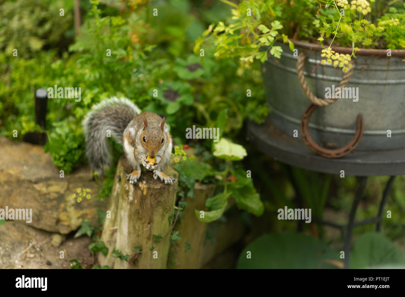 Planning ahead hi-res stock photography and images - Alamy