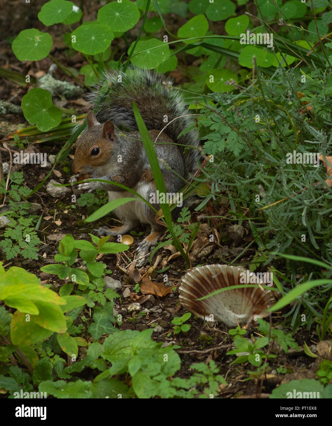 Planning ahead hi-res stock photography and images - Alamy