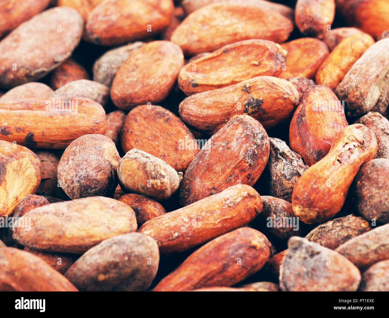 raw fresh whole cacao beans, food background Stock Photo - Alamy