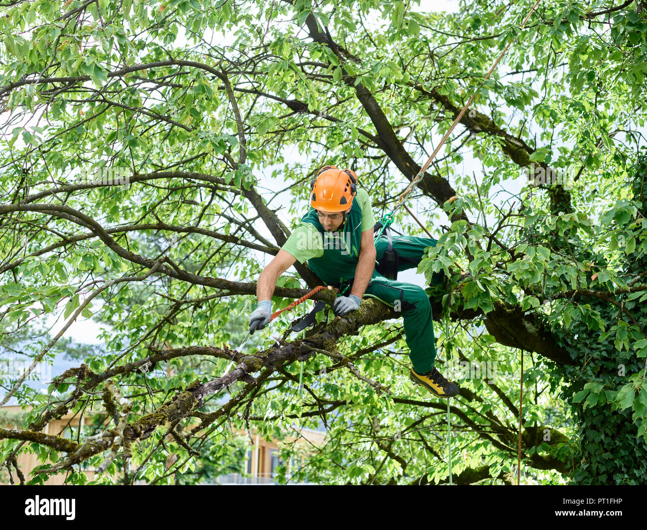 Timber cutter hi-res stock photography and images - Alamy