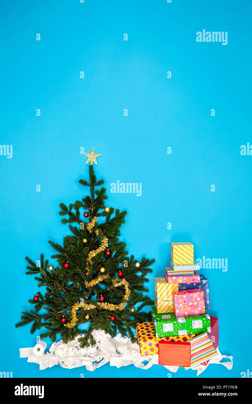 Fir tree photos hi-res stock photography and images - Alamy