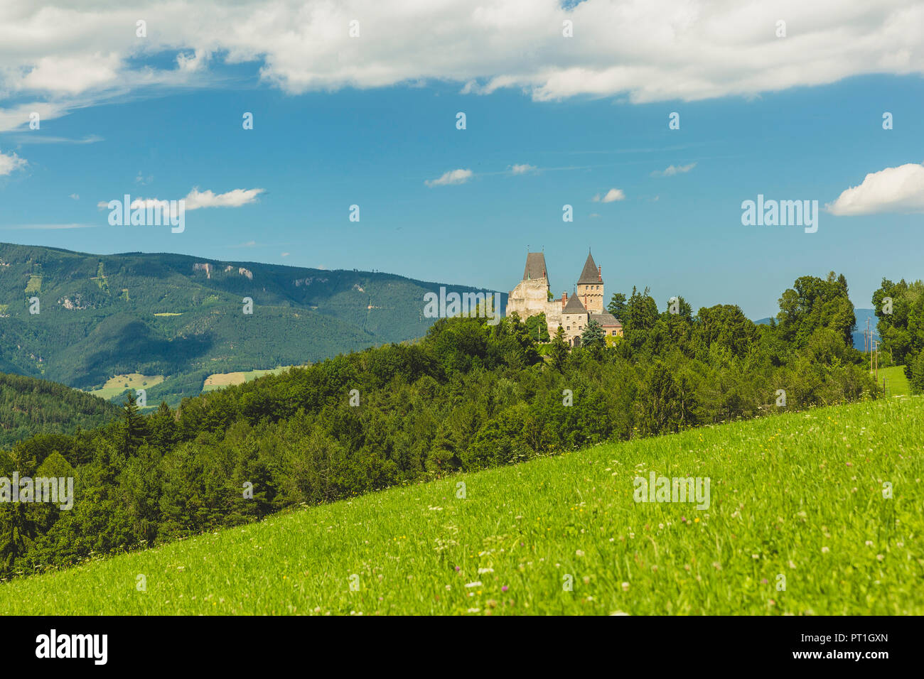 Austria, Lower Austria, Neunkirchen District, Burg Wartenstein Stock ...