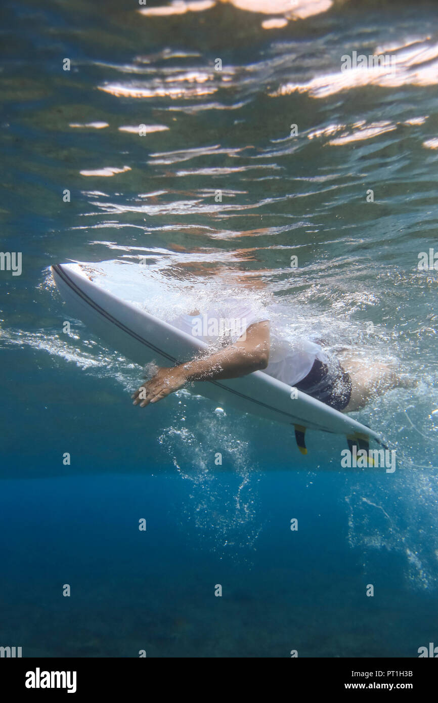 Maledives, Indian Ocean, surfer lying on surfboard, underwater shot ...