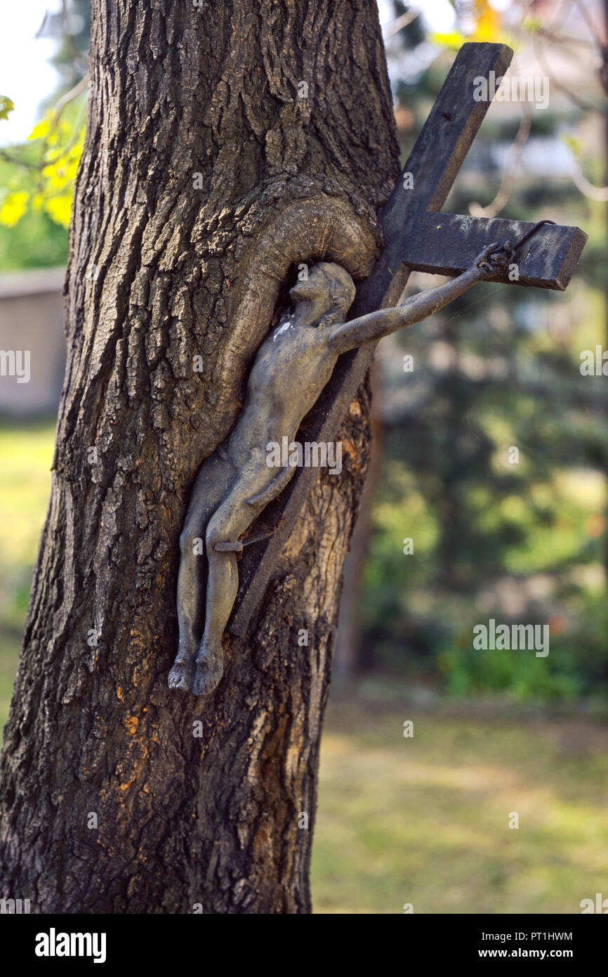 Old metal cross growing into tree trunk Stock Photo - Alamy